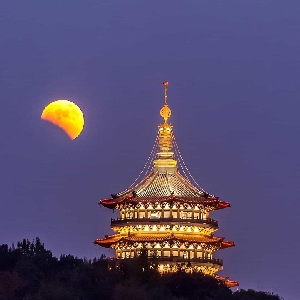 卑微小鬼莎 
