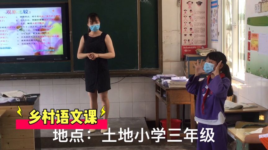【宜宾土地小学】三年级语文《花钟》教学实录——教读句子!