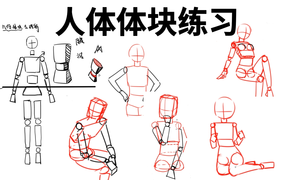 适合新手学人体结构的体块练习方法!