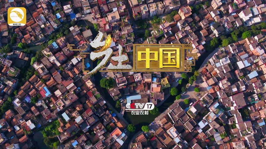 传承中华优秀农耕文化 关注中国乡村振兴实践