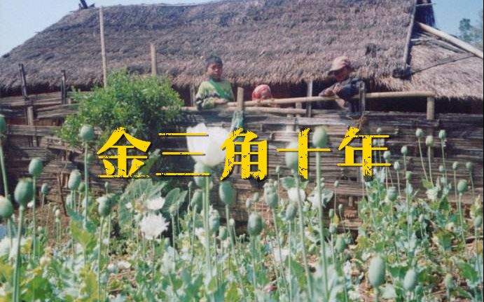 【纪录片/行者 王艺忠/2011】金三角 十年(缅北佤邦禁毒纪录片)