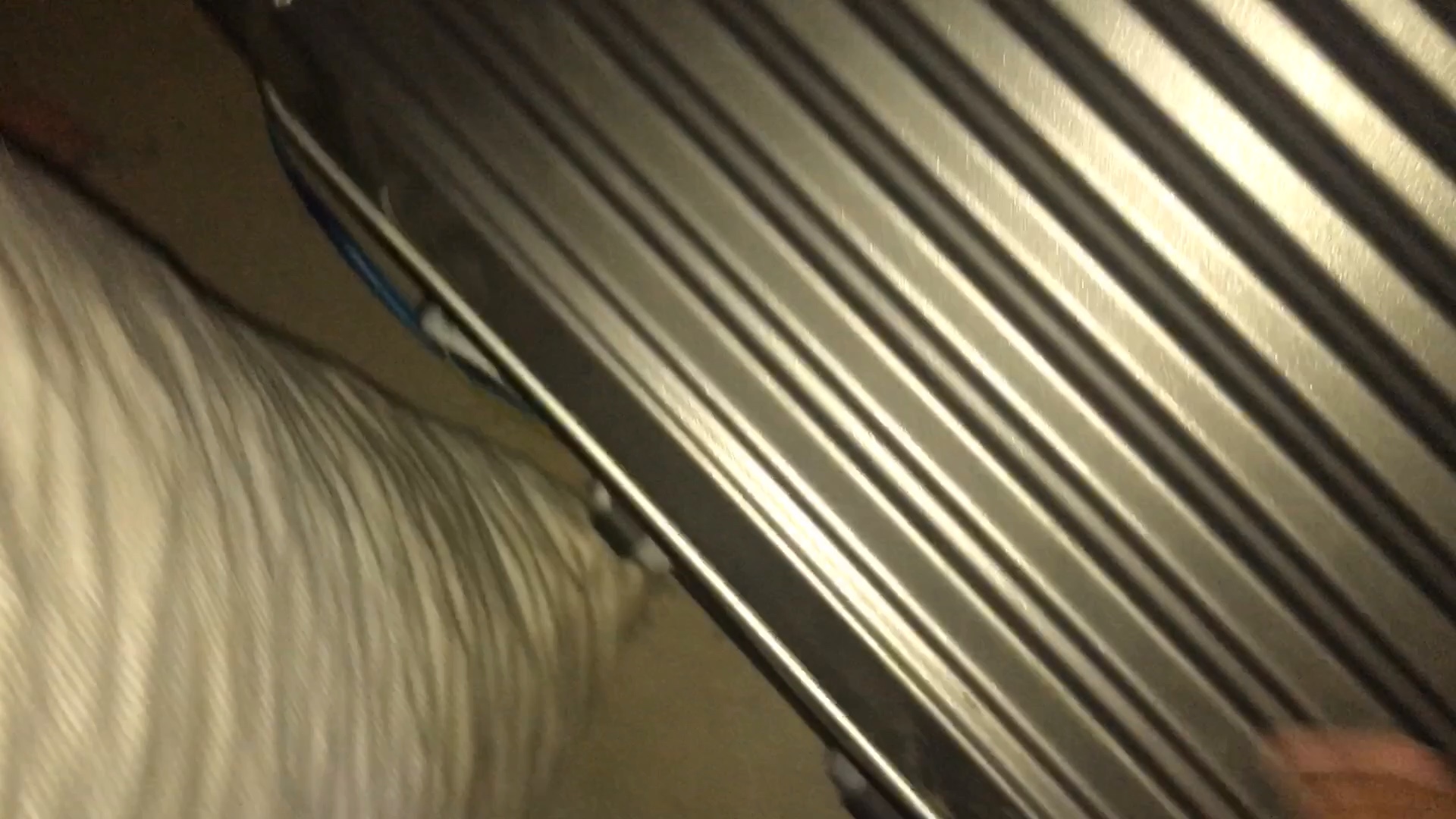 行李箱 简单体验 说说使用的感受 经验