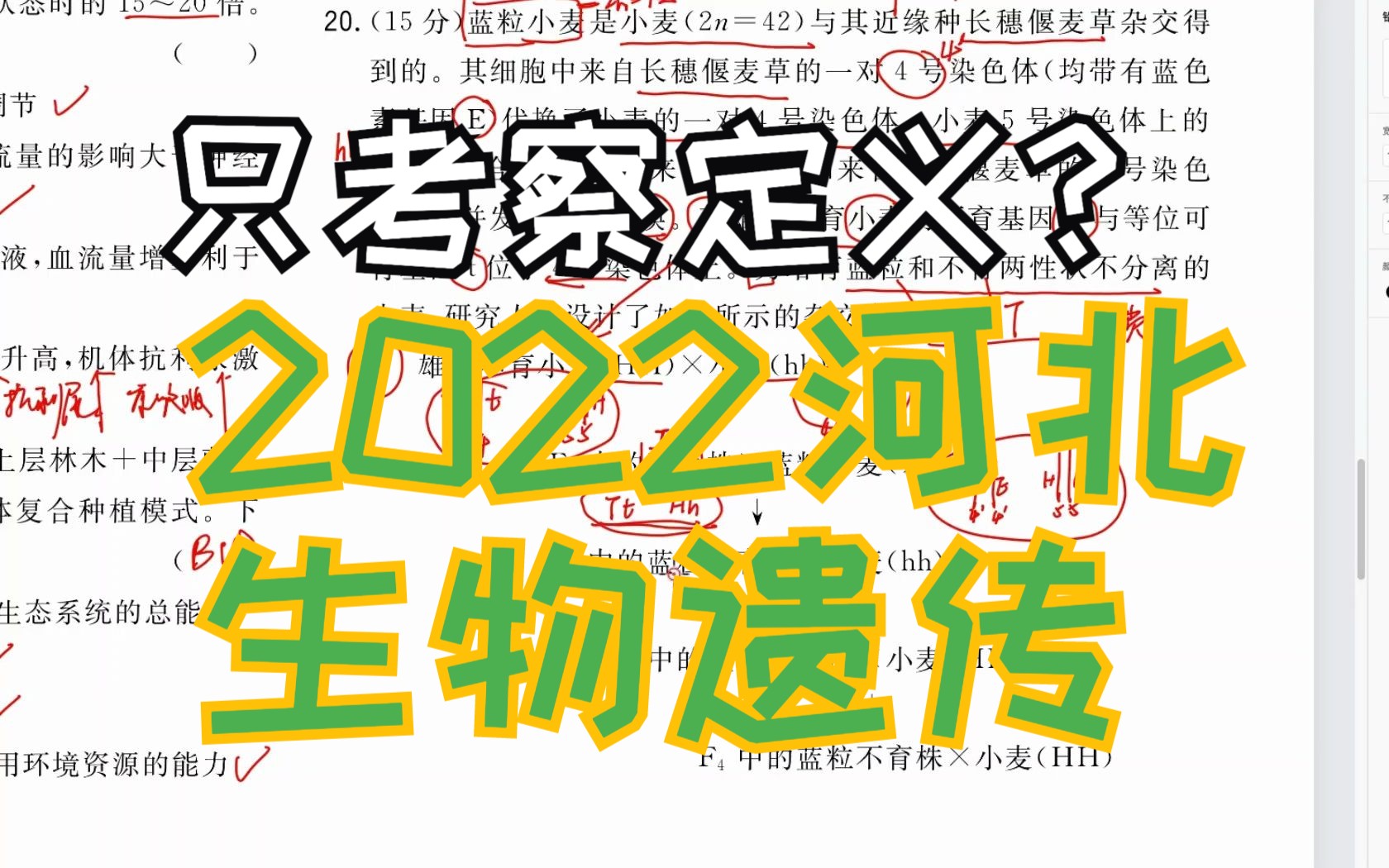 【2022河北高考生物遗传大题】蓝粒小麦长穗偃麦草交换互换染色体...