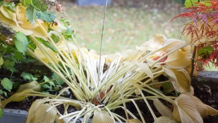 【吴赫】HYUKOH 新歌专辑全专试听