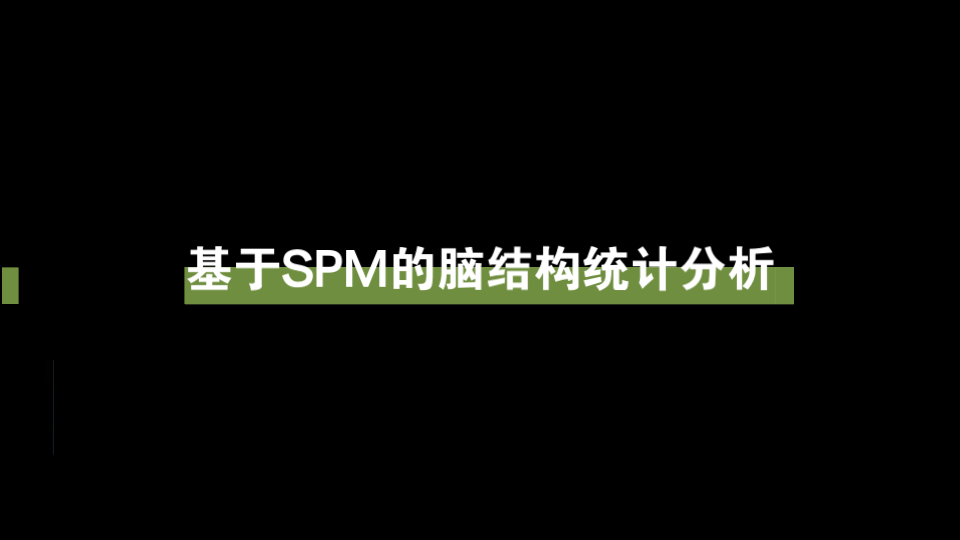基于SPM的脑结构统计分析_两样本基本操作