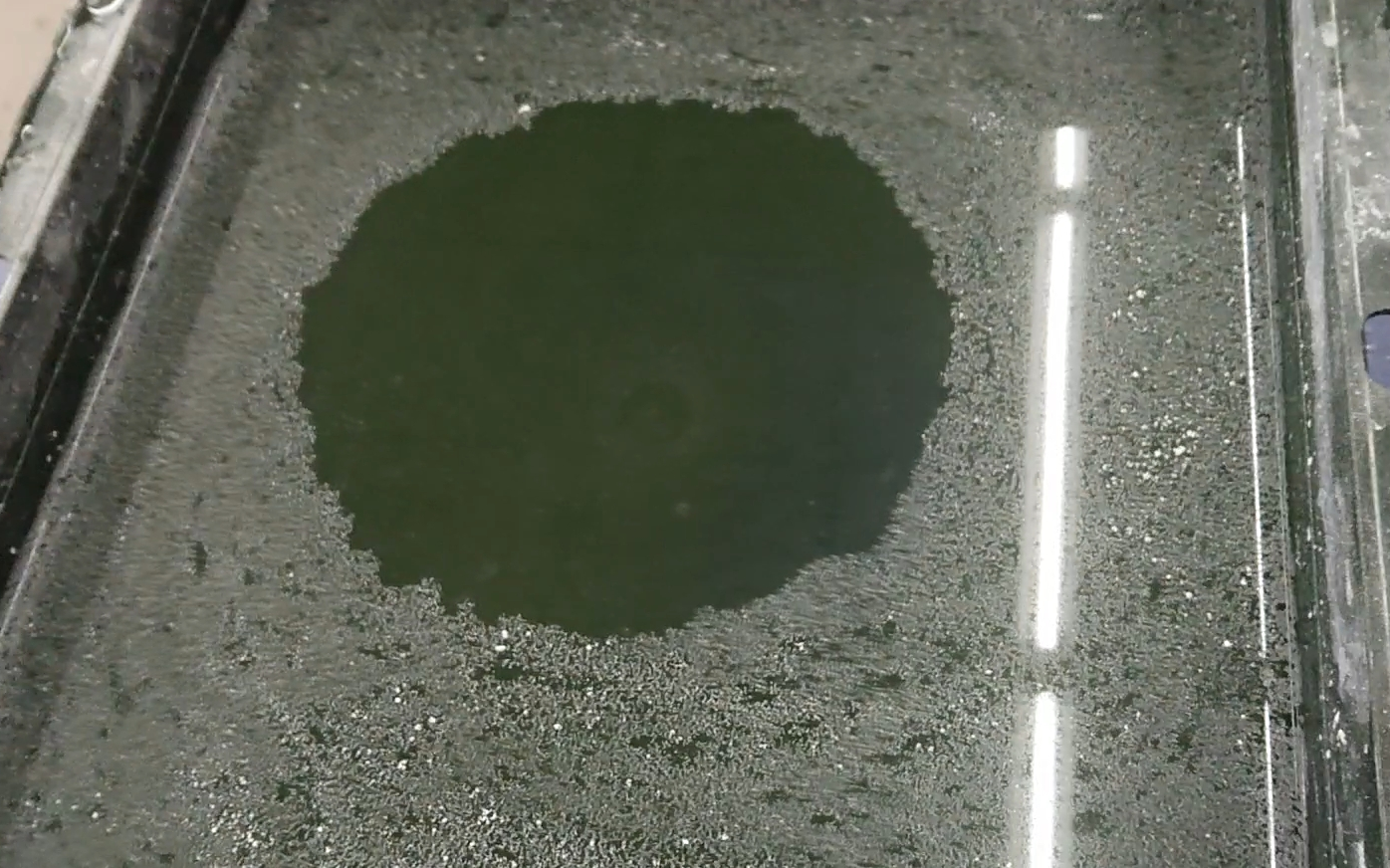 【物理实验】油膜法测量分子直径