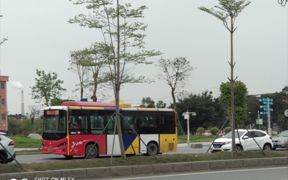 (云乘车.137)广州公交372路广汽比亚迪GZ6850HZEV(2018款K7)运行...