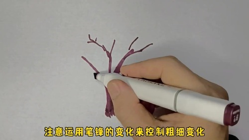 速写樱花树画法来了