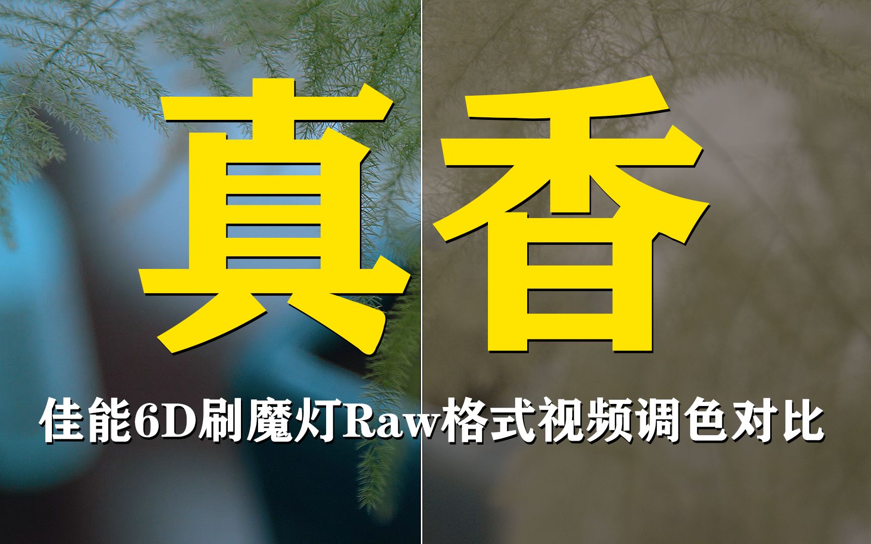 真香!佳能6D刷魔灯raw格式视频调色效果对比