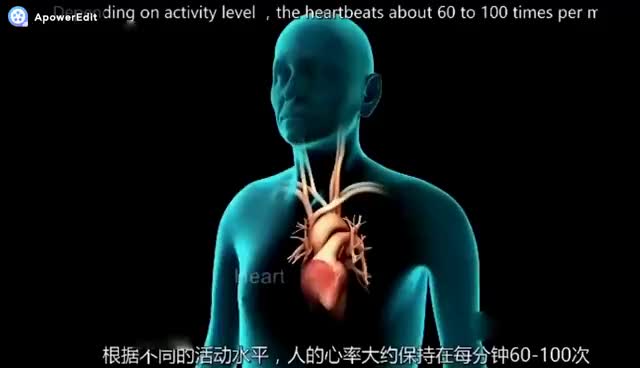 3D模拟心脏正常搏动,下期介绍心脏异常搏动射频消融治疗术!