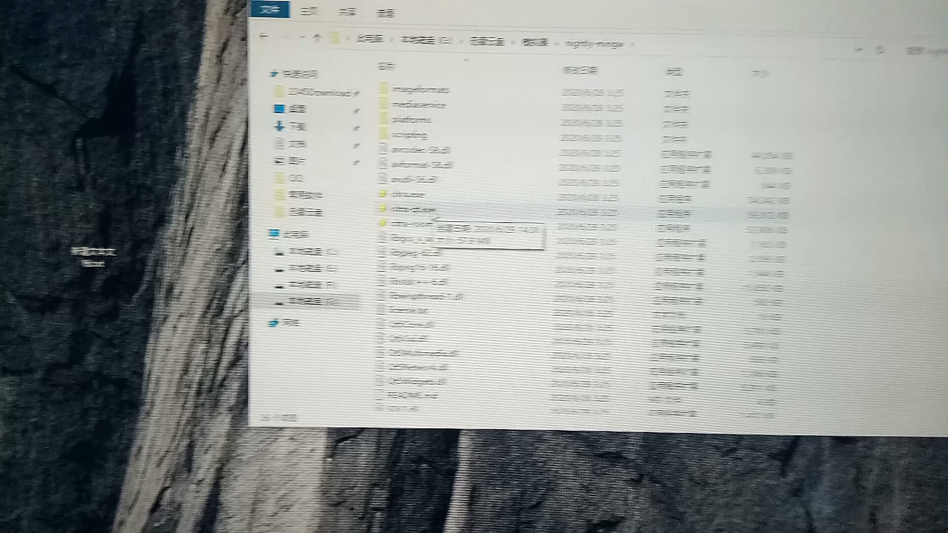 精灵宝可梦作弊器使用方法