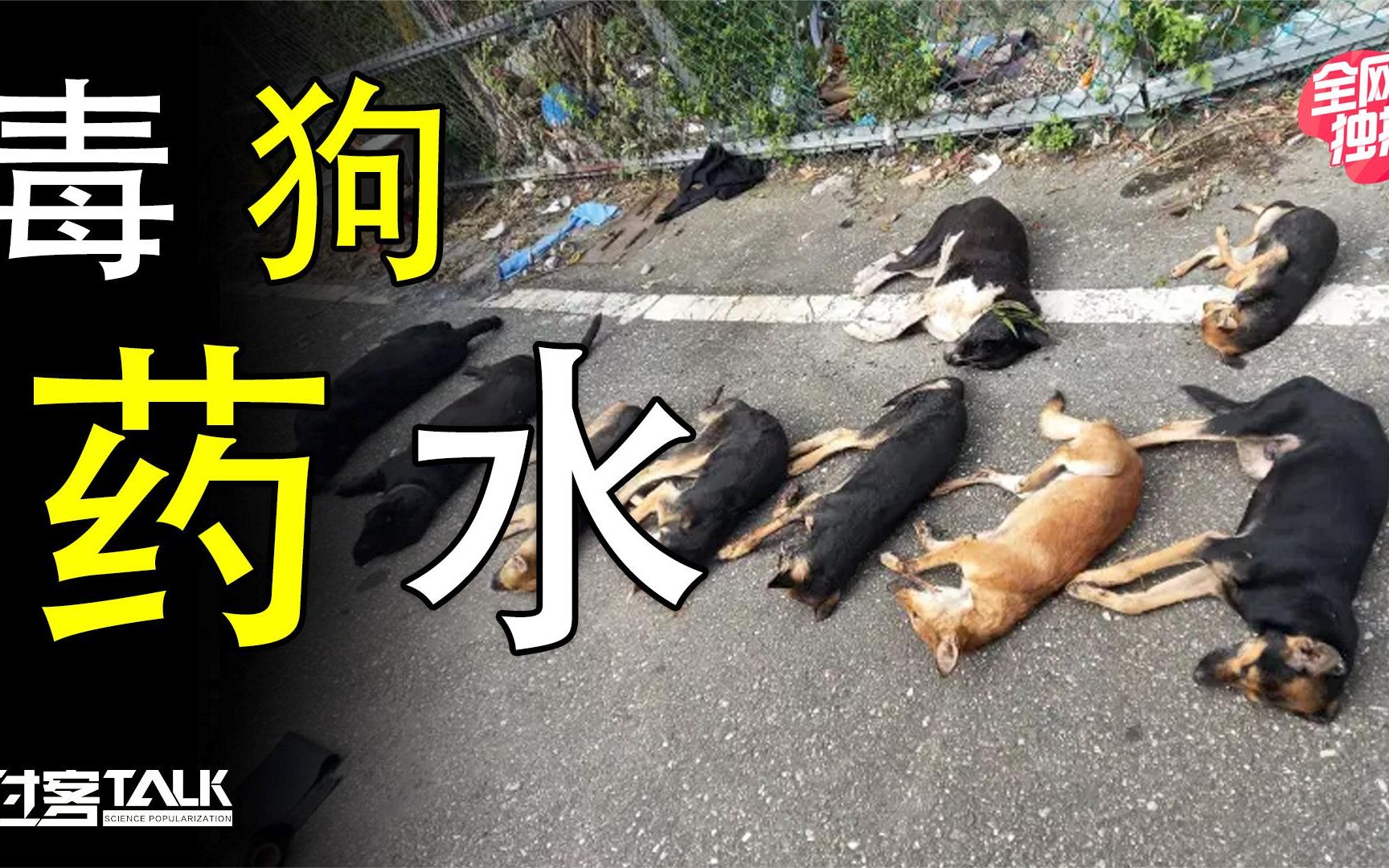狗被毒药水喷到后60秒死亡,到底是什么药这么毒?喷到人怎么办?