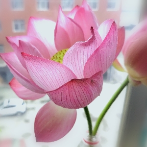 生生的不息回忆 