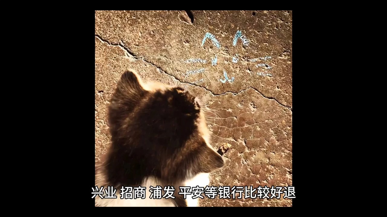 信用卡退息操作流程分享!