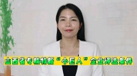 山西省“专精特新”小巨人企业评选条件