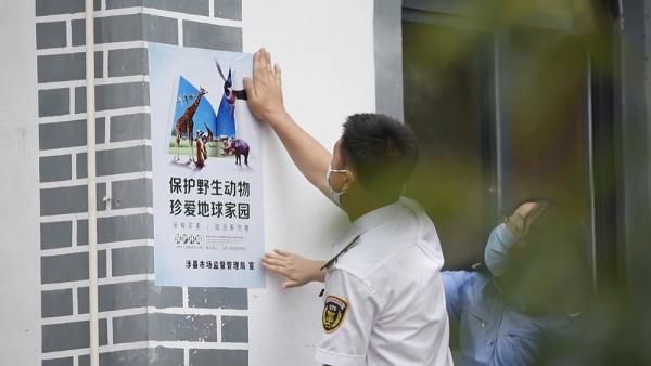 聚焦野生动物保护法修订:保更宽,罚更狠