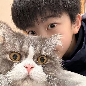 羊驼pain 