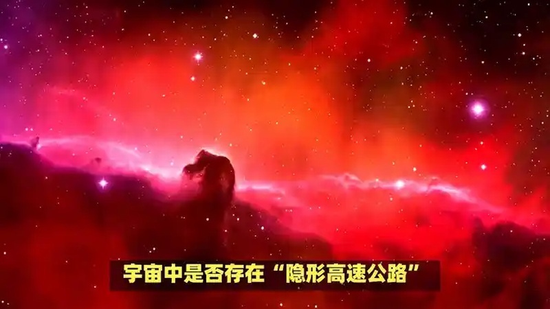 宇宙早期星系结构新发现:暗物质巨桥与稳定棒状结构并存