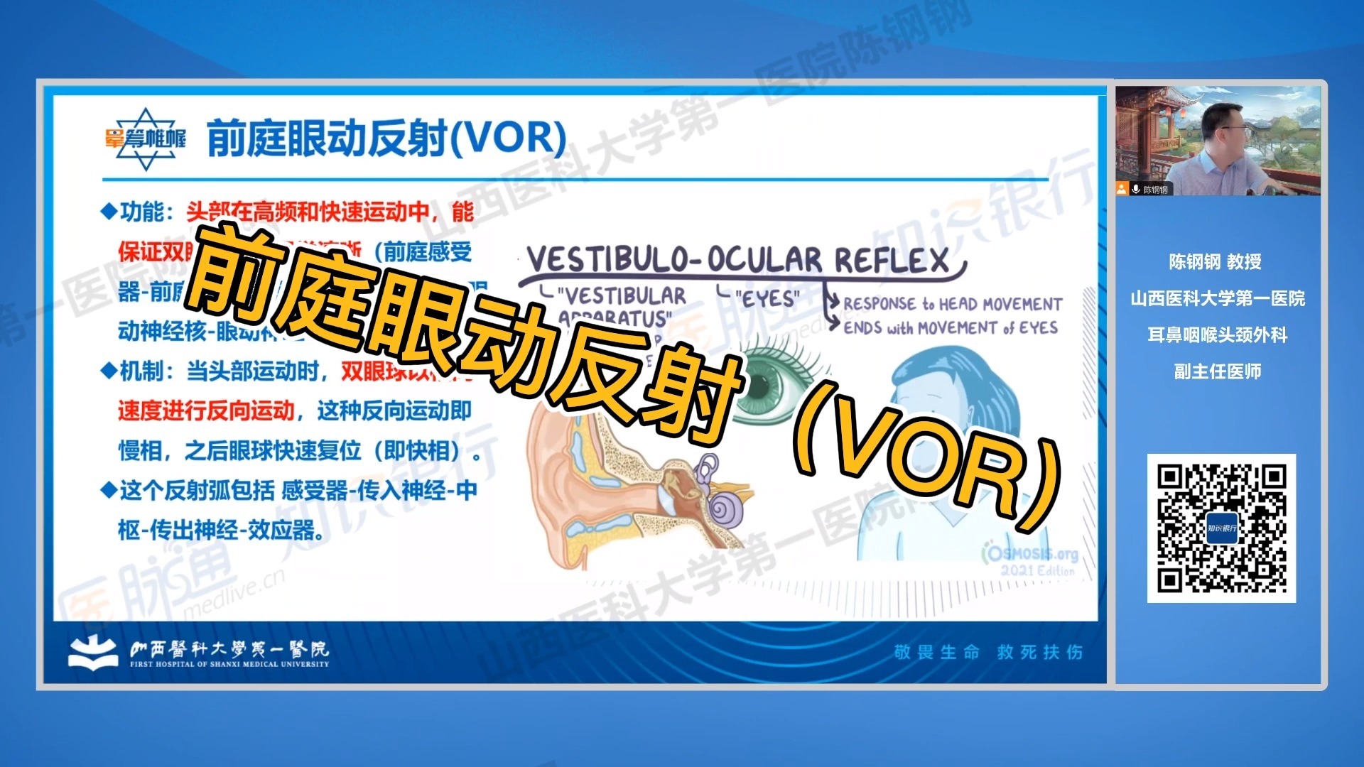 #耳鼻喉科、神经内科医生必学 #陈钢钢 #网红讲师 #前庭眼动反射解剖...