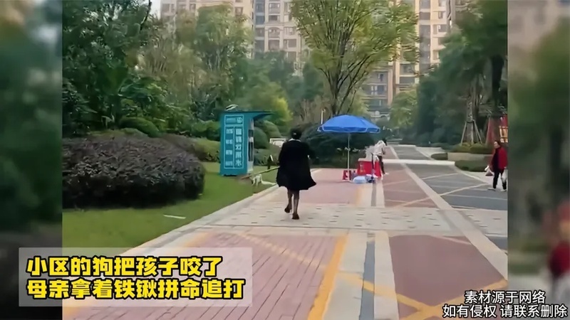 小区的狗把孩子咬了 母亲拿着铁锹拼命追打