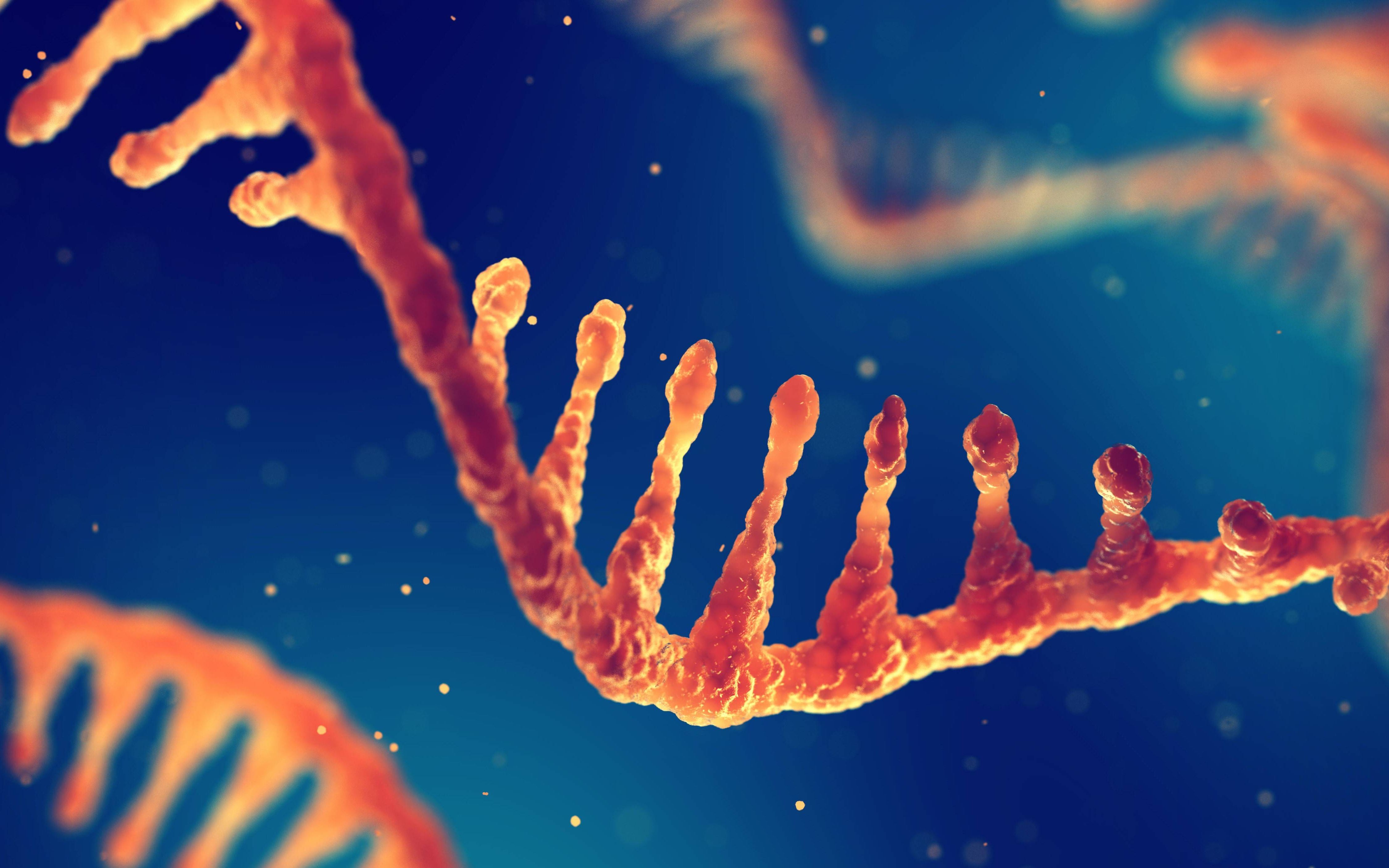 RNA的分类有哪些?简单聊聊信使RNA和转移RNA