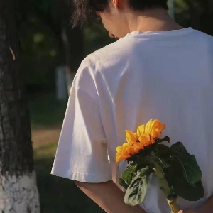 风起凉城moc 