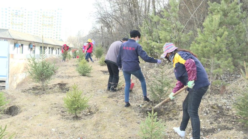 城关镇龙泉社区 南关社区 开展“3.12植树节”主题活动