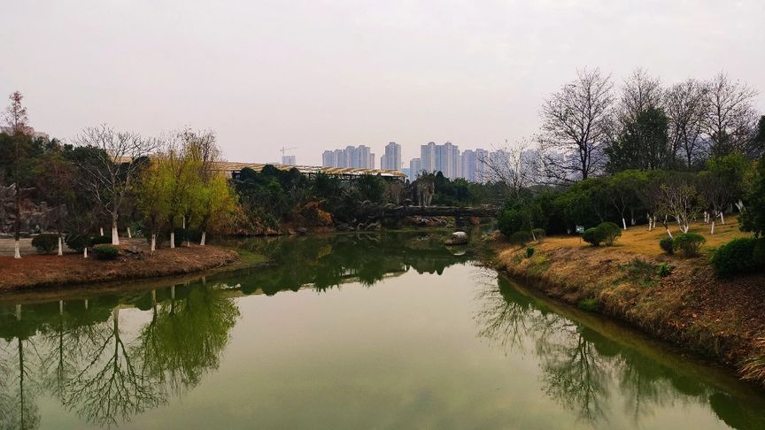 魅力南昌之南昌动物园(二),参观爬行动物馆