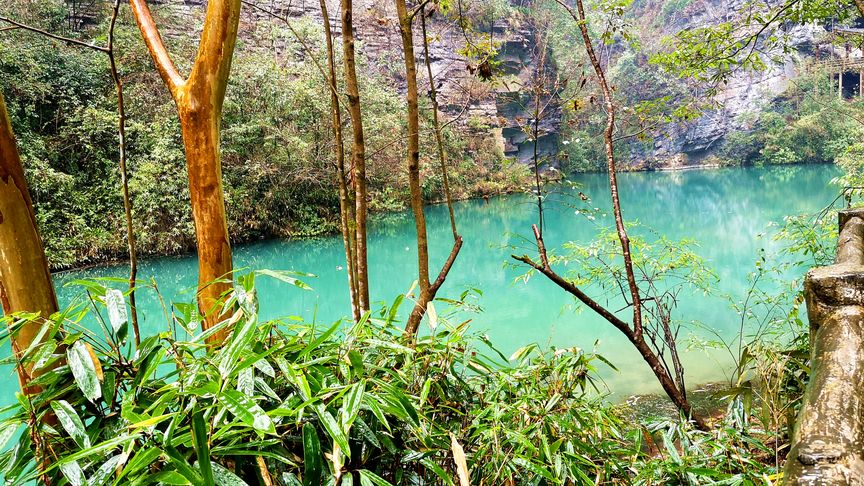 原来张家界大峡谷的景色如此绝美,完全不输桂林山水,很值得一看