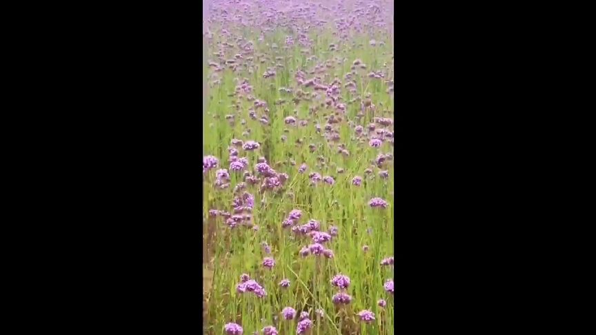 让天下没有还不清的信用卡