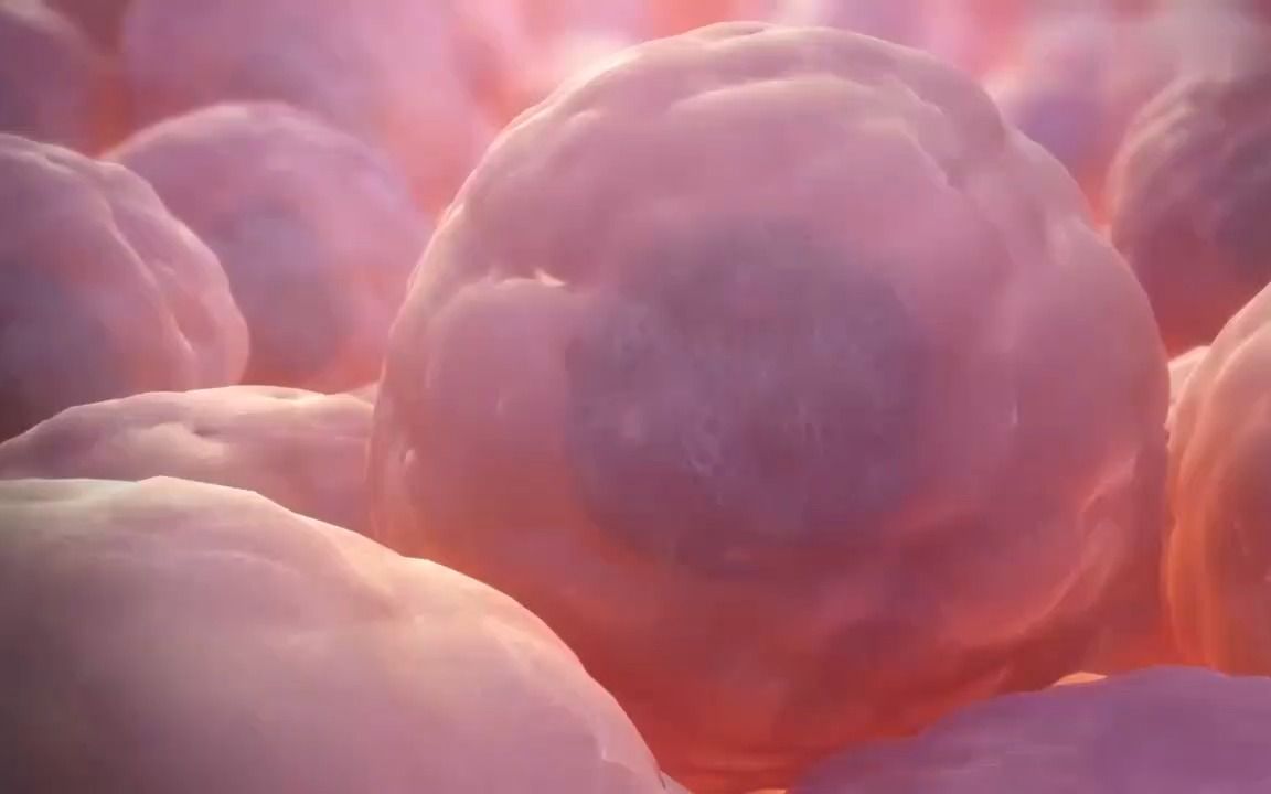 [4.2] ATP驱动泵与主动运输-视频