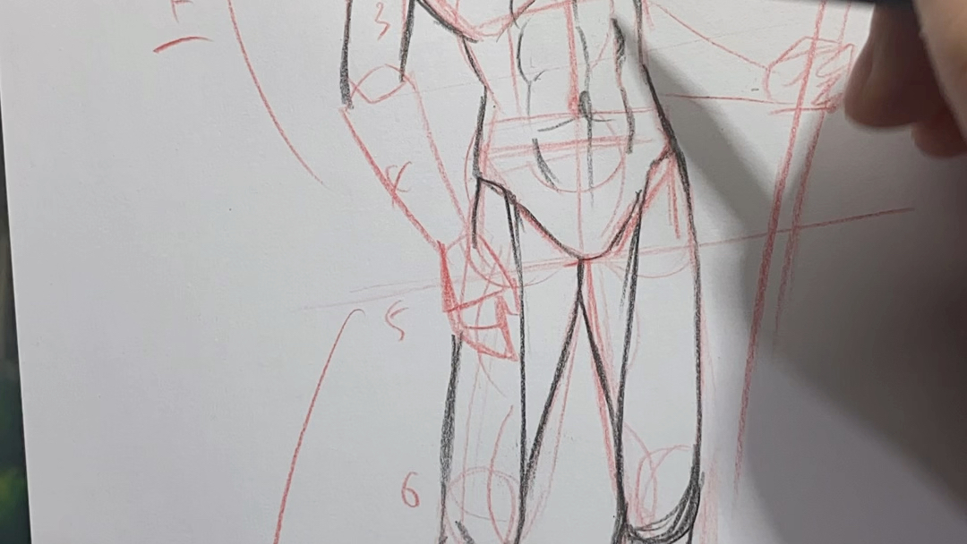 8头半的男性人体结构