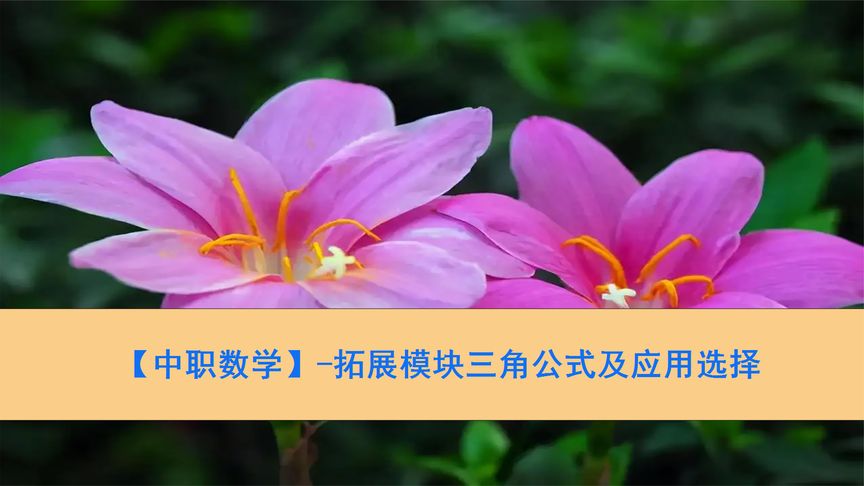 【中职数学】-拓展模块三角公式及应用选择【转载】
