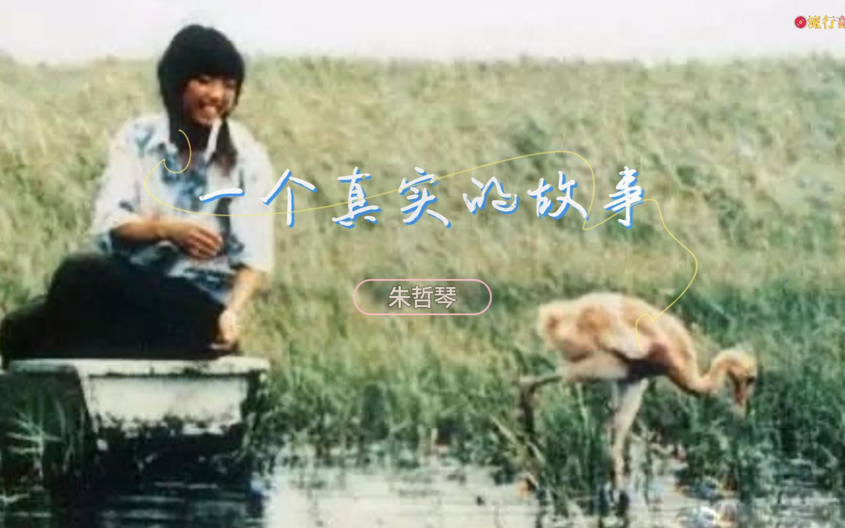 一个真实的故事--朱哲琴