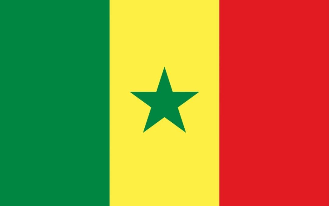 卡塔尔世界杯32强:塞内加尔 《弹起琴敲起鼓》