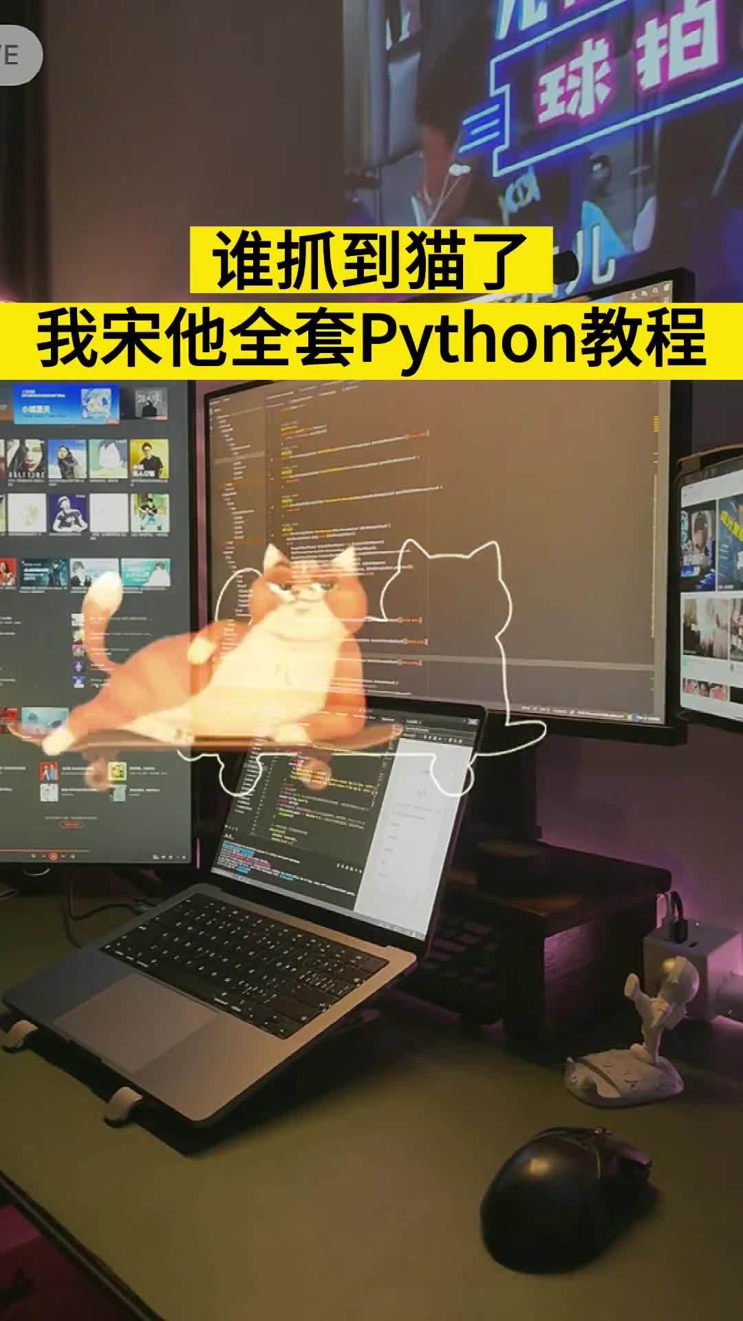 逻辑与创意的完美结合,编程。