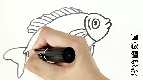 学会画简笔画鱼,在家可以教孩子了!