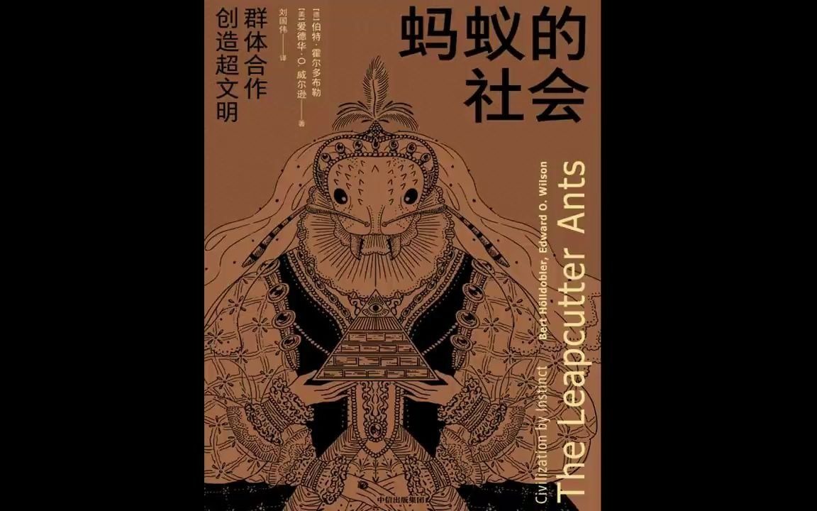 《蚂蚁的社会》完美的群体组织运作是怎样的