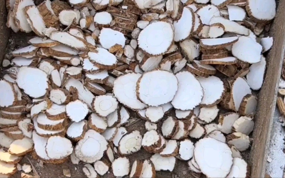 百吨中药材加工现场15156753852一年之计在于春,春季中药材种植...