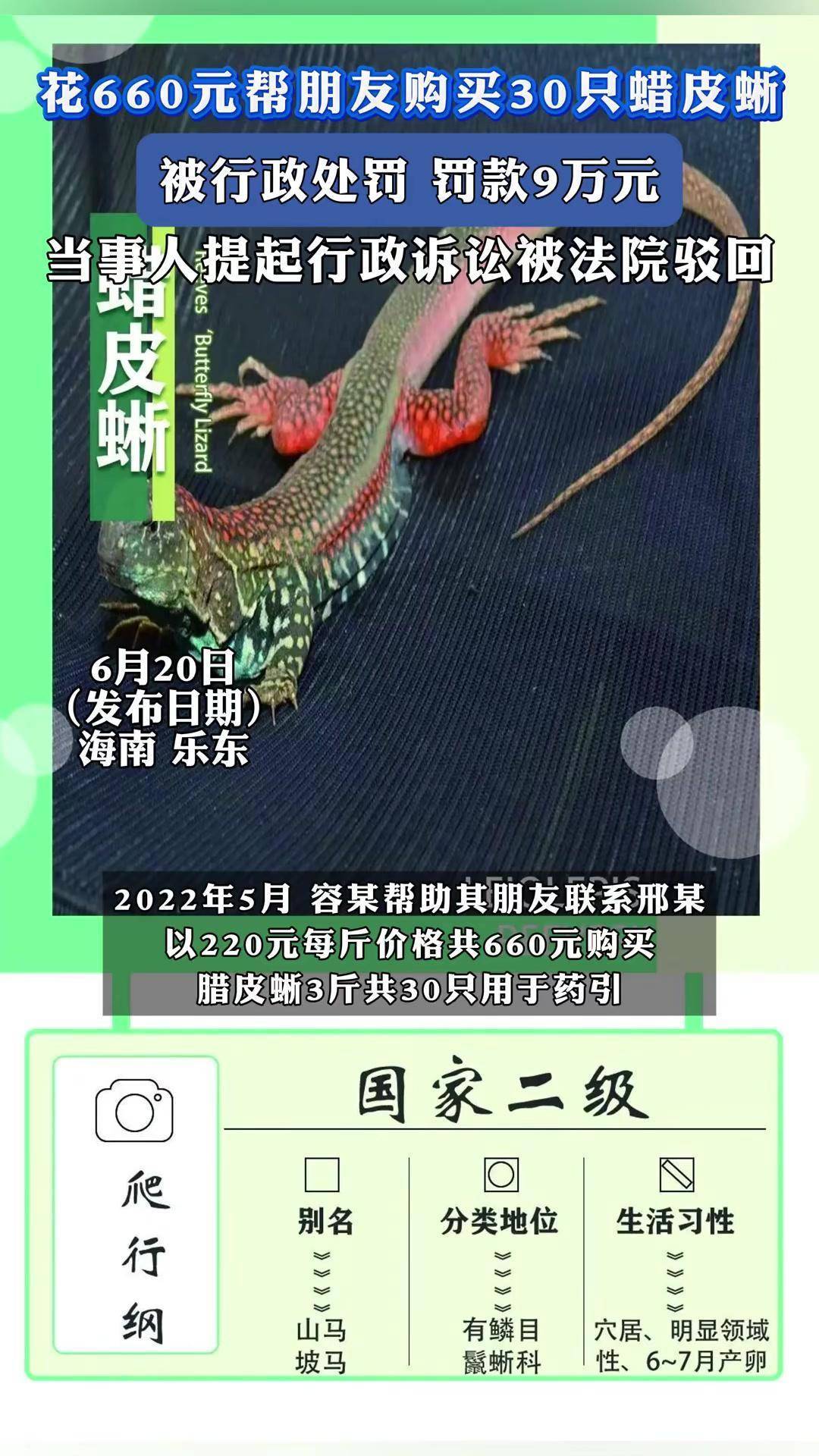 ...蜥,被行政处罚,罚款9万元!当事人提起行政诉讼被法院驳回(直播海南)
