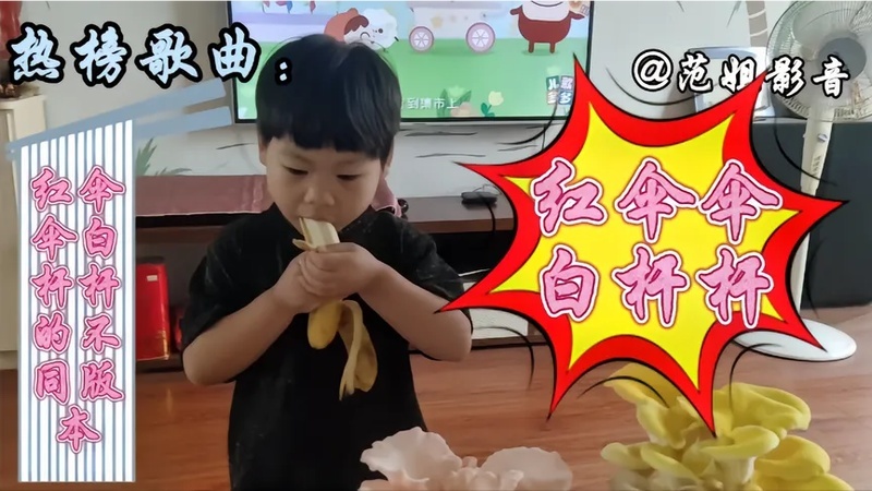 热榜歌曲《红伞伞白杆杆》几个不同版本,我也蹭蹭热度,上热门
