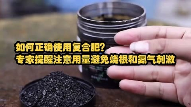 如何正确使用复合肥专家提醒注意用量避免烧根和氨气刺激