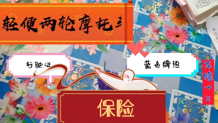 电动轻便两轮摩托车上户买保险,为什么会有80和110两种费用
