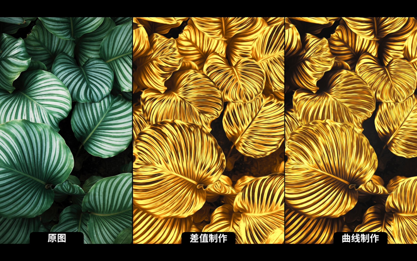 PS实用小技巧04-物体金属感