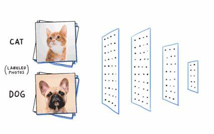 全网最通俗易懂的猫狗识别项目实战-使用Tensor+CNN实现猫狗二分类