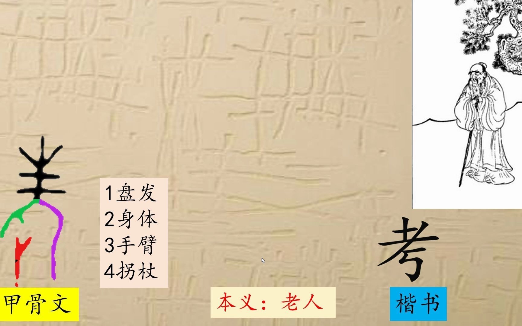 127、考,汉字演变,汉字,趣味识字,象形字,书法,写字,甲骨文,金文,篆文