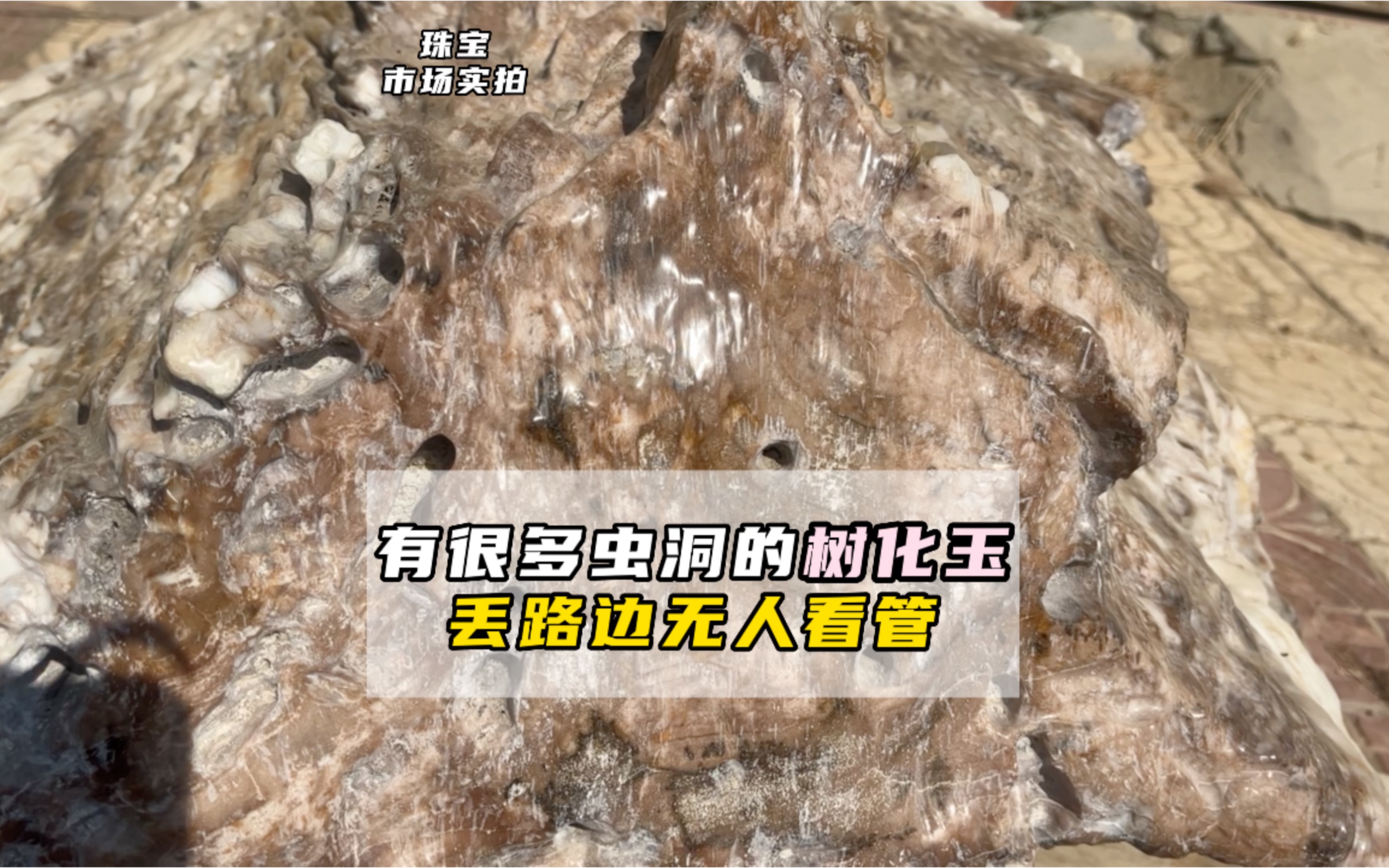 有很多虫洞的树化玉丢路边无人看管