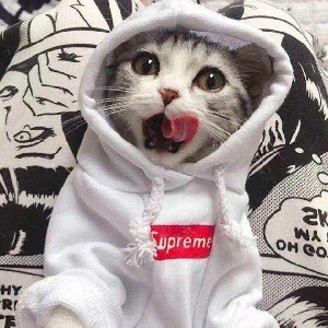 Zhuo_M 