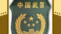 做制服肩章的进口专门的缝制设备在哪里找?