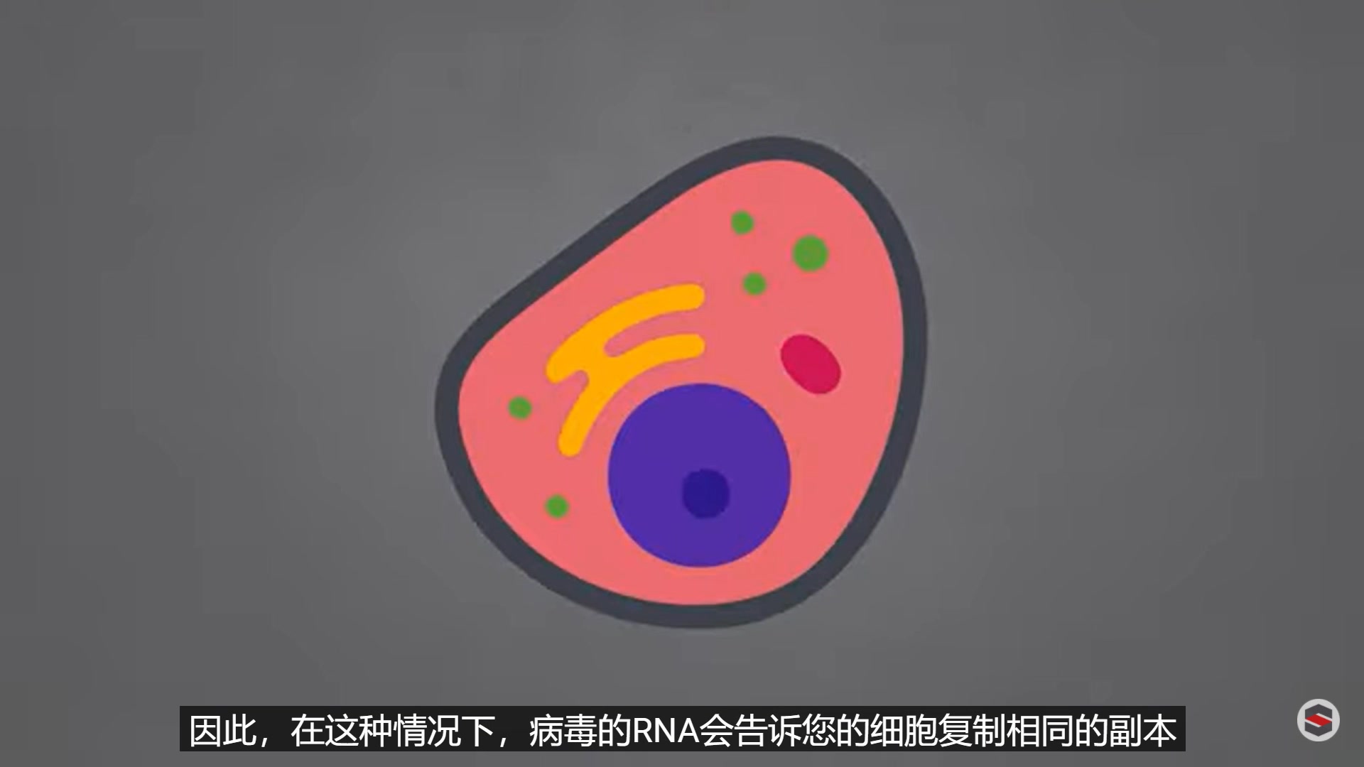 mRNA疫苗的工作原理
